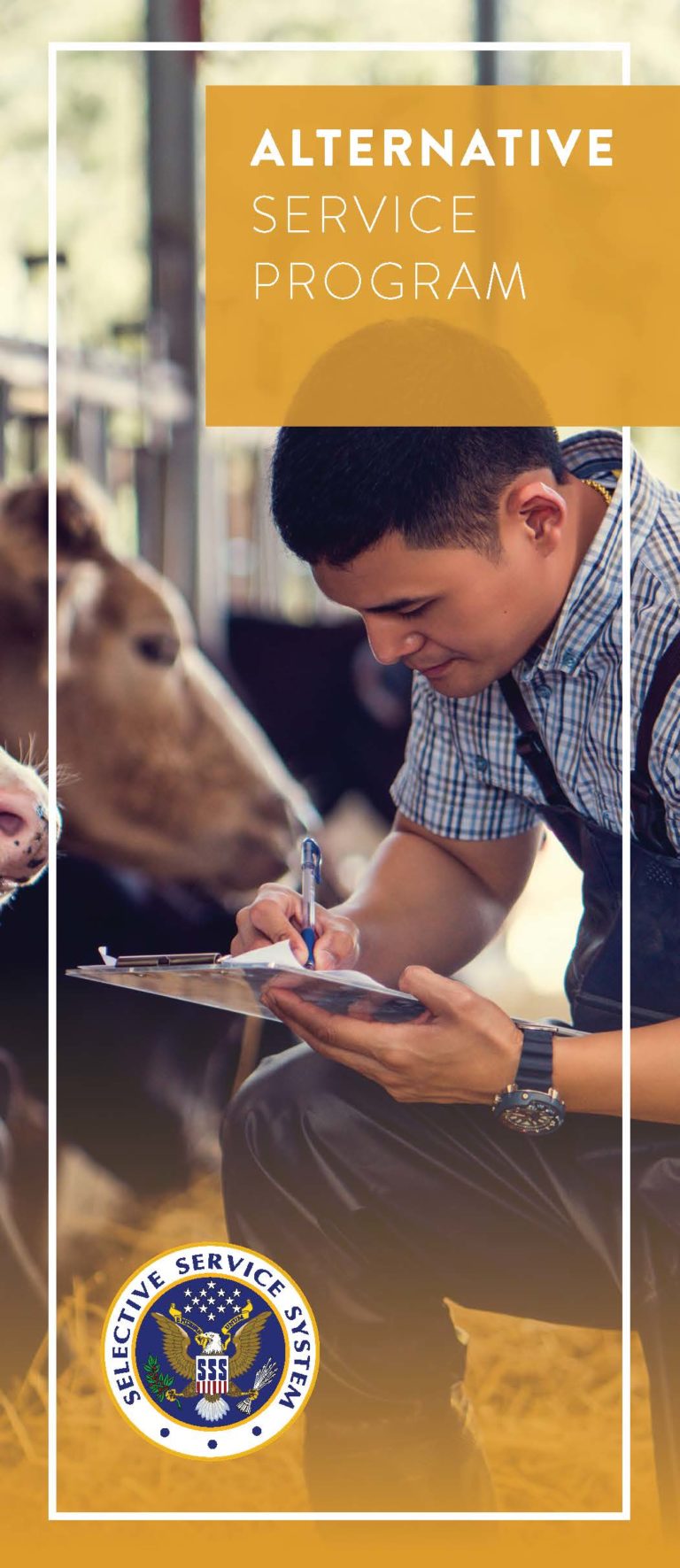 National Alternative Service Program : Selective Service System